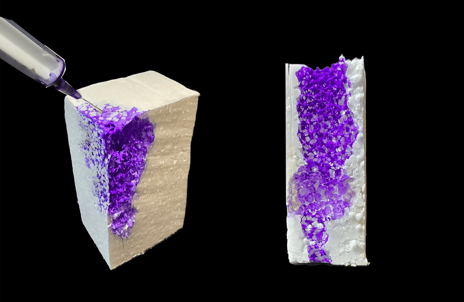 Introduction to Computational Design: Concepts and Studio Insights